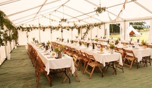 The History & Origin Of Marquees | Marquee Monkeys