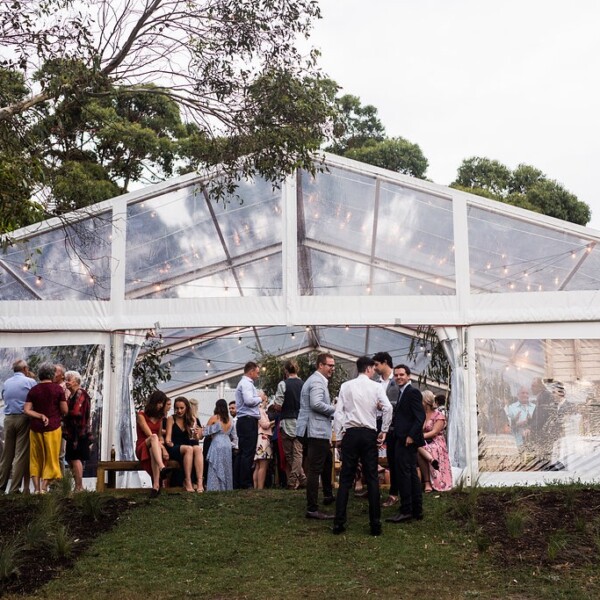 Marquee Gallery | Marquee Monkeys