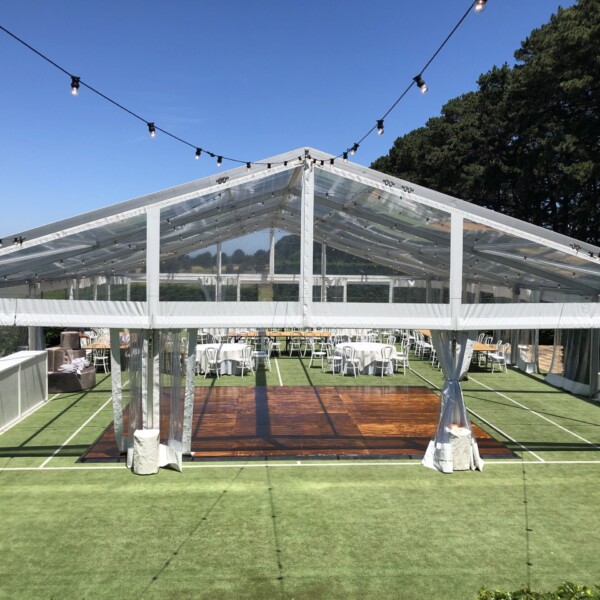 Marquee Gallery | Marquee Monkeys