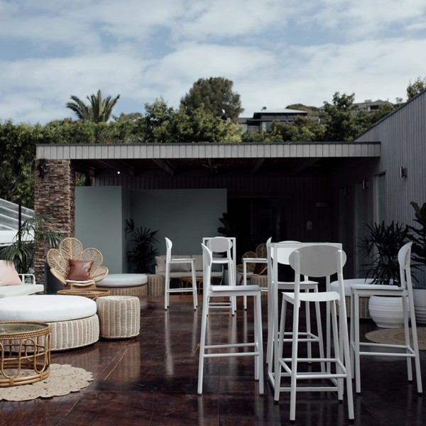 Marquee Gallery | Marquee Monkeys