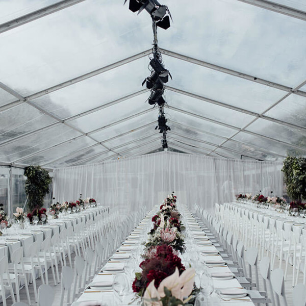 Marquee Gallery | Marquee Monkeys