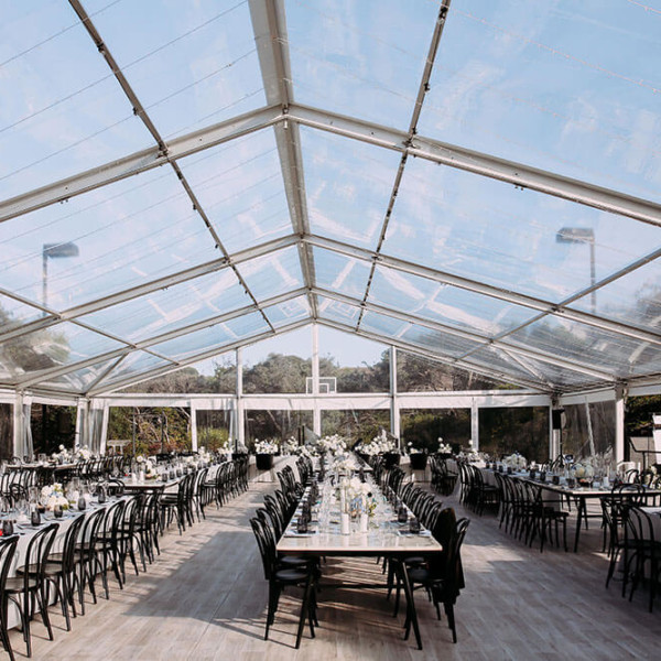 Marquee Gallery | Marquee Monkeys