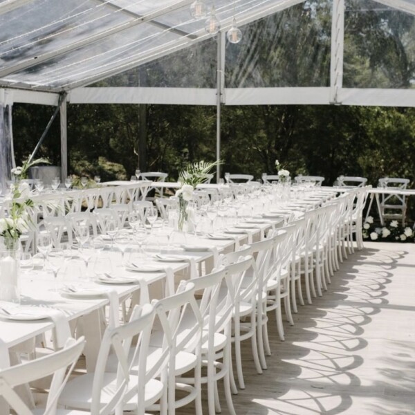 Marquee Gallery | Marquee Monkeys