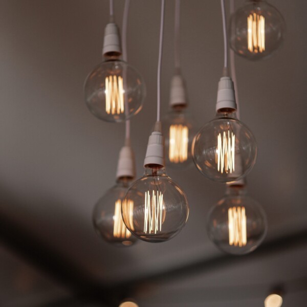 Marquee Gallery | Marquee Monkeys