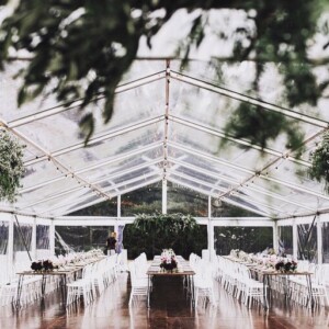 Marquee Gallery | Marquee Monkeys