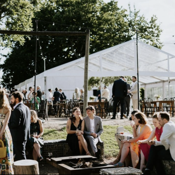 Marquee Gallery | Marquee Monkeys