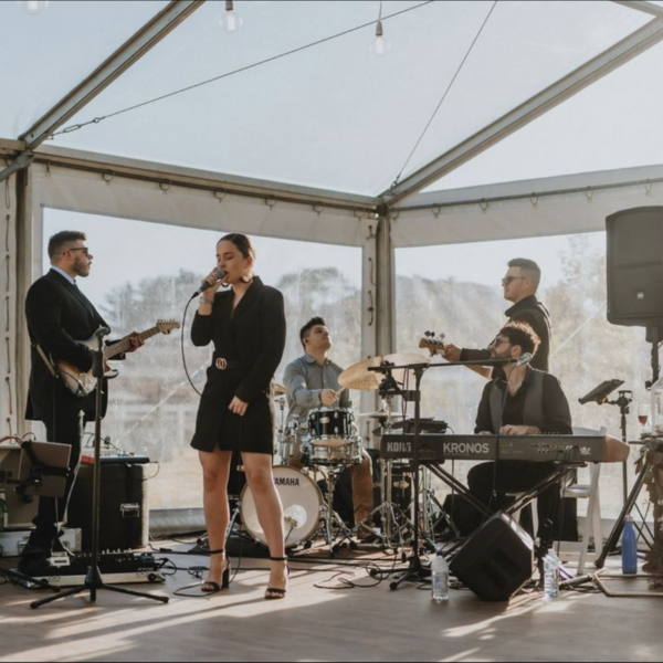 Marquee Gallery | Marquee Monkeys