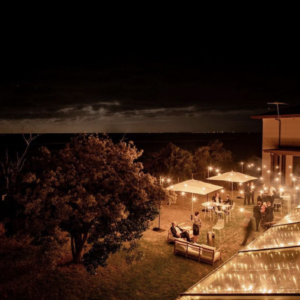 Marquee Gallery | Marquee Monkeys