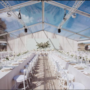 Marquee Gallery | Marquee Monkeys