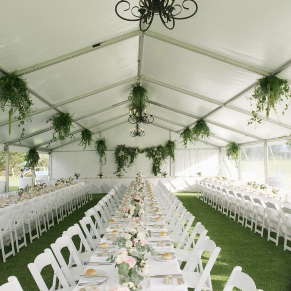 Marquee Gallery | Marquee Monkeys