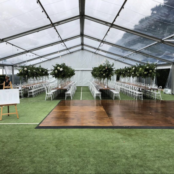 Marquee Gallery | Marquee Monkeys