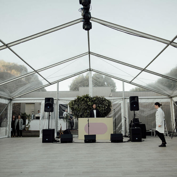 Marquee Gallery | Marquee Monkeys