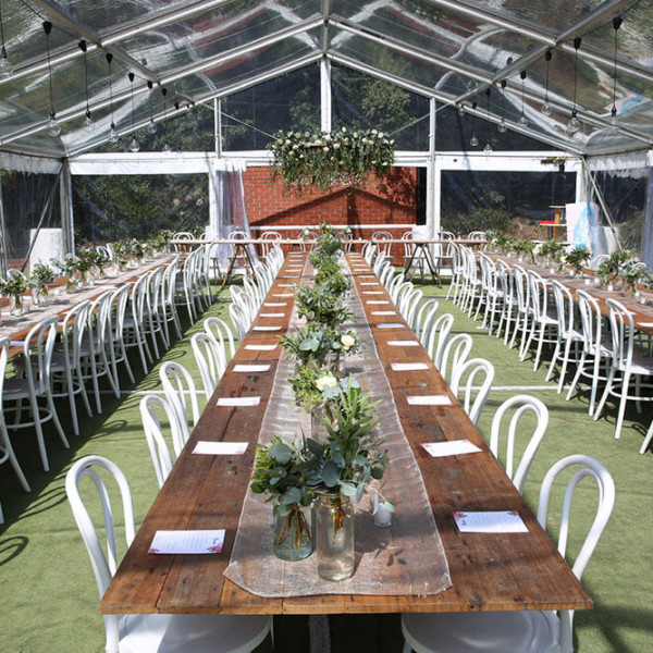 Marquee Gallery | Marquee Monkeys