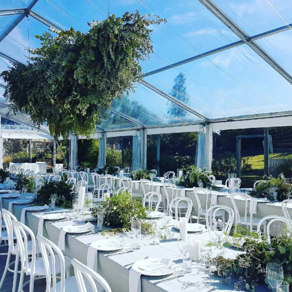 Marquee Gallery | Marquee Monkeys