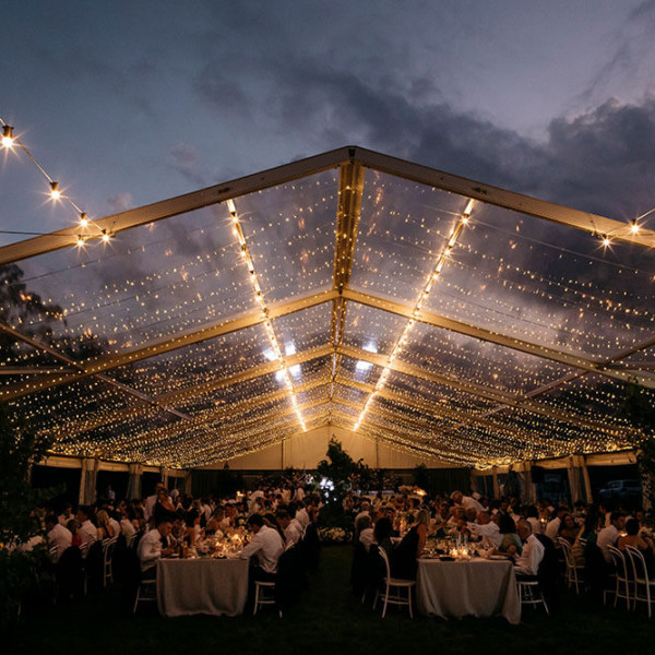 Marquee Gallery | Marquee Monkeys