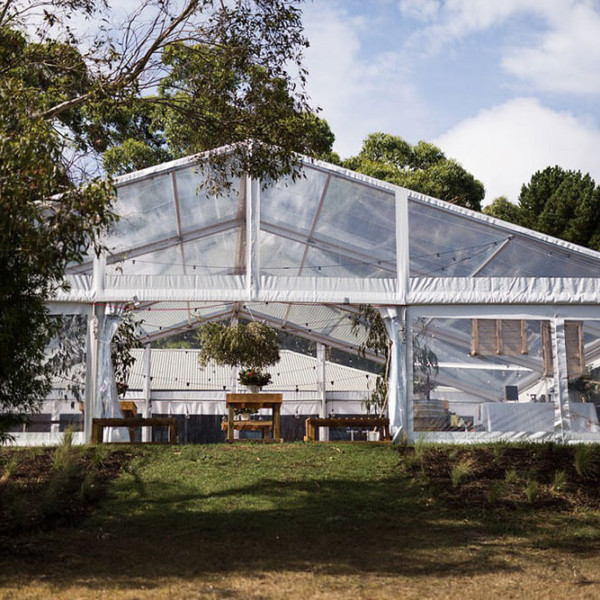 Marquee Gallery | Marquee Monkeys