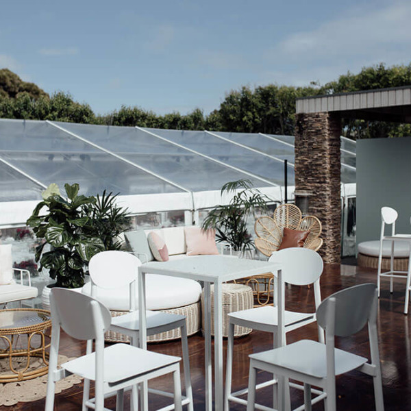 Marquee Gallery | Marquee Monkeys