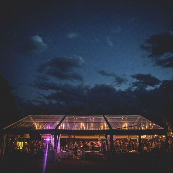 Marquee Gallery | Marquee Monkeys