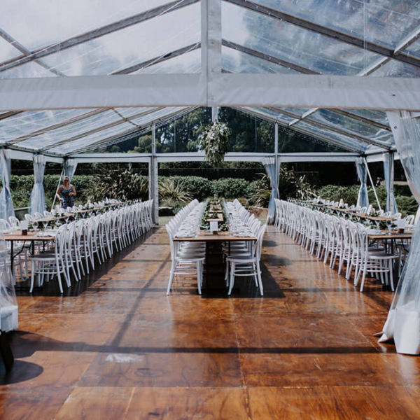 Marquee Gallery | Marquee Photos | Marquee Monkeys