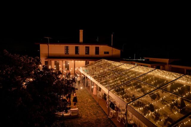 Thank You | Marquee Monkeys