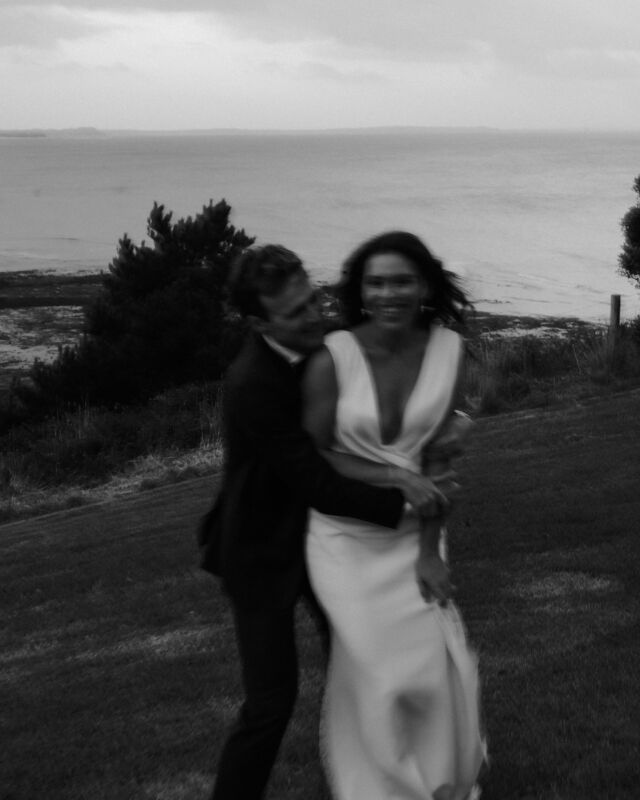 Marquee Gallery | Marquee Monkeys