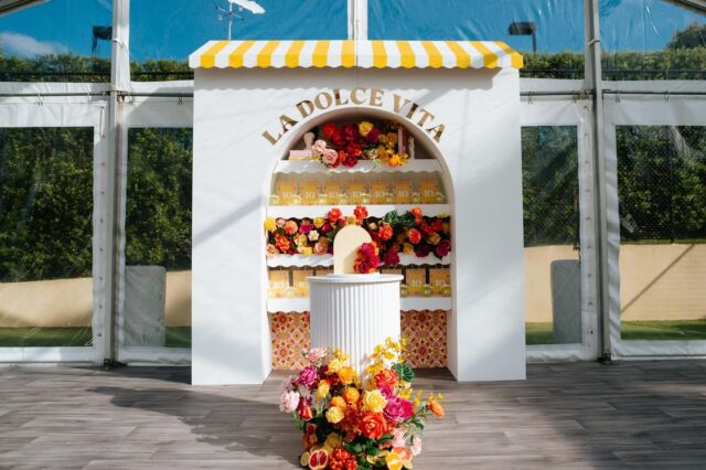 Marquee Gallery | Marquee Monkeys