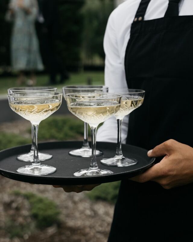 Spot/ Flood Light | Marquee Monkeys