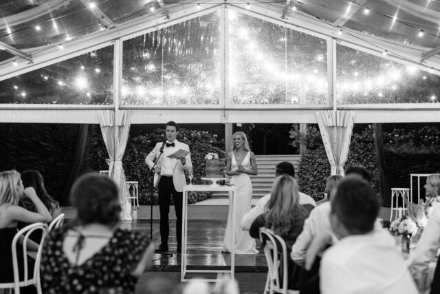 Marquee Gallery | Marquee Monkeys