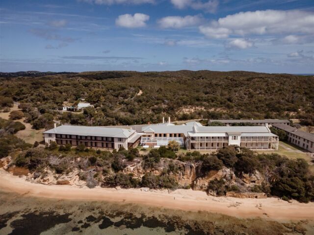 Marquee Gallery | Marquee Monkeys