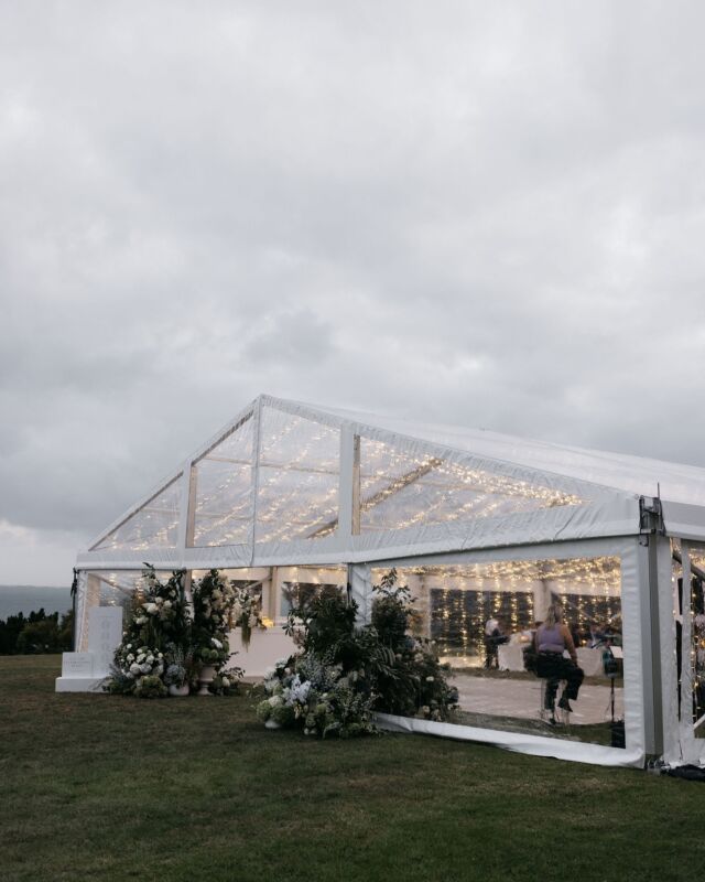 Marquee Gallery | Marquee Monkeys