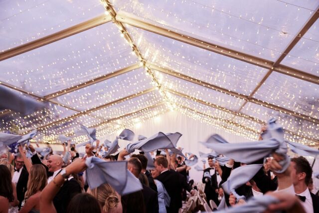 Marquee Gallery | Marquee Monkeys