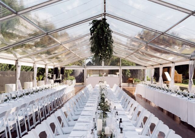 Marquee Gallery | Marquee Monkeys