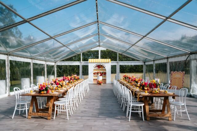 Marquee Gallery | Marquee Monkeys