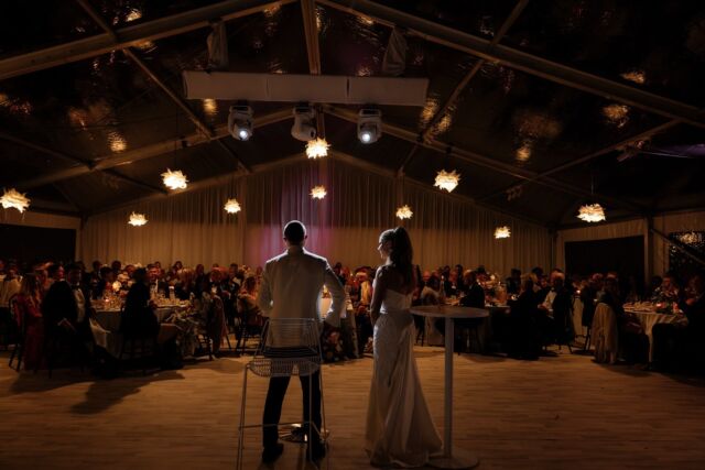 Marquee Gallery | Marquee Monkeys