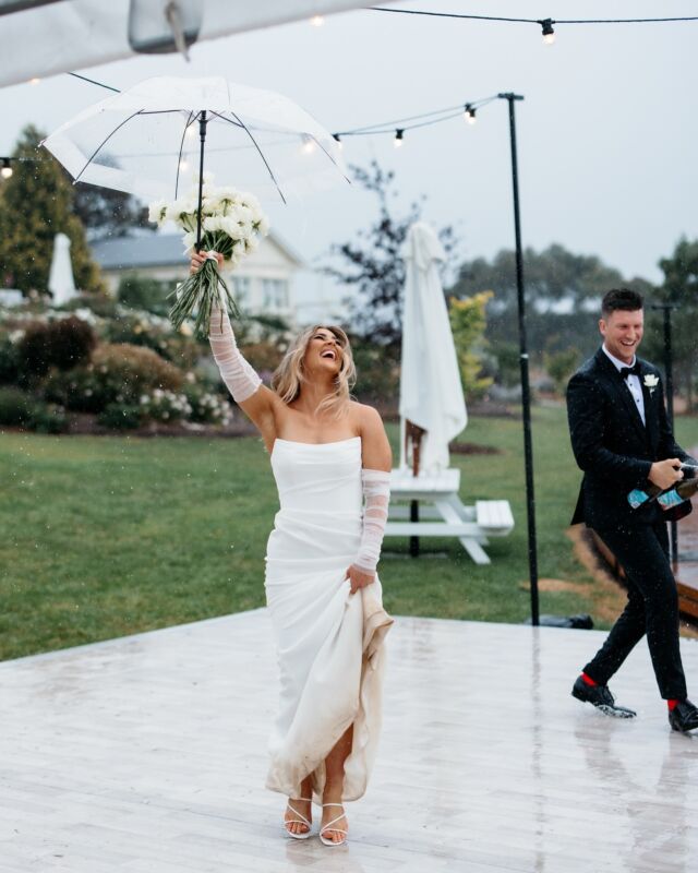 Marquee Gallery | Marquee Monkeys