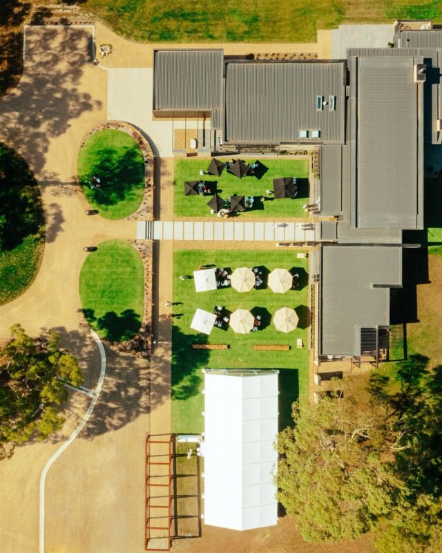 Marquee Gallery | Marquee Monkeys